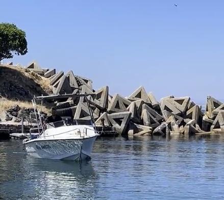 Ocean Goat Tours - Updated 2026 Prices