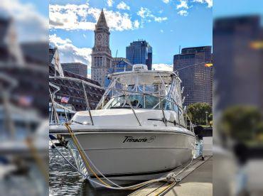 The 10 BEST Boat Tours in New England from US $150 (Summer 2026)