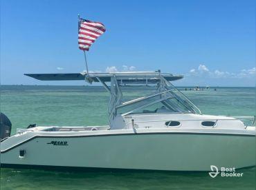 Sandbar Tours in Miami-Dade County- BoatBooker