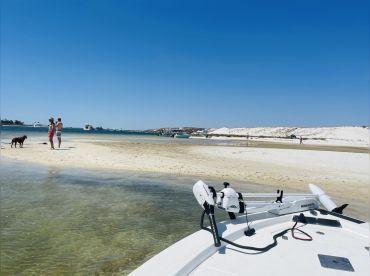 Whale & Dolphin Watching in Gulf Shores, AL- BoatBooker