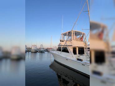 The 10 BEST Boat Tours in Connecticut from US $165 (Summer 2026)