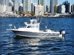 The 10 BEST Boat Tours in California from US $268 (Spring 2026)