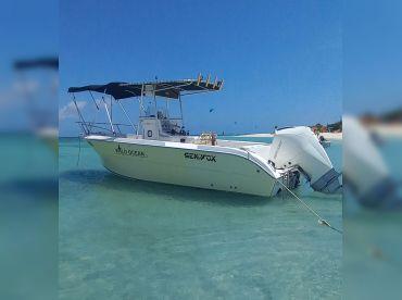 Boat & Yacht Tours in Oranjestad- BoatBooker