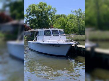The 10 BEST Boat Tours in Baltimore, MD from US $75 (Spring 2026)