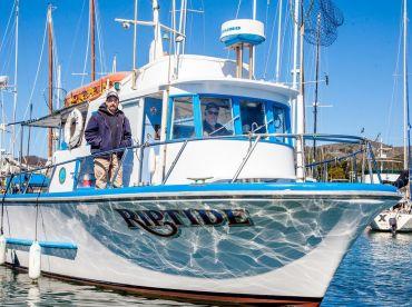 Whale & Dolphin Watching in Bay Area- BoatBooker